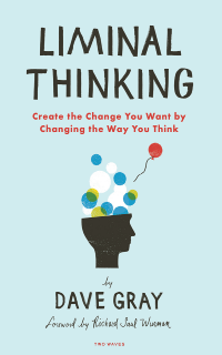 Gray, Liminal Thinking: Create the Change You Want by Changing the Way ...